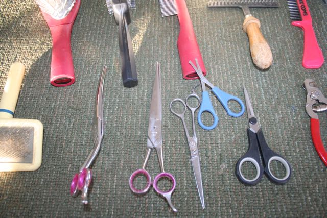 Grooming – Labradoodles By Design